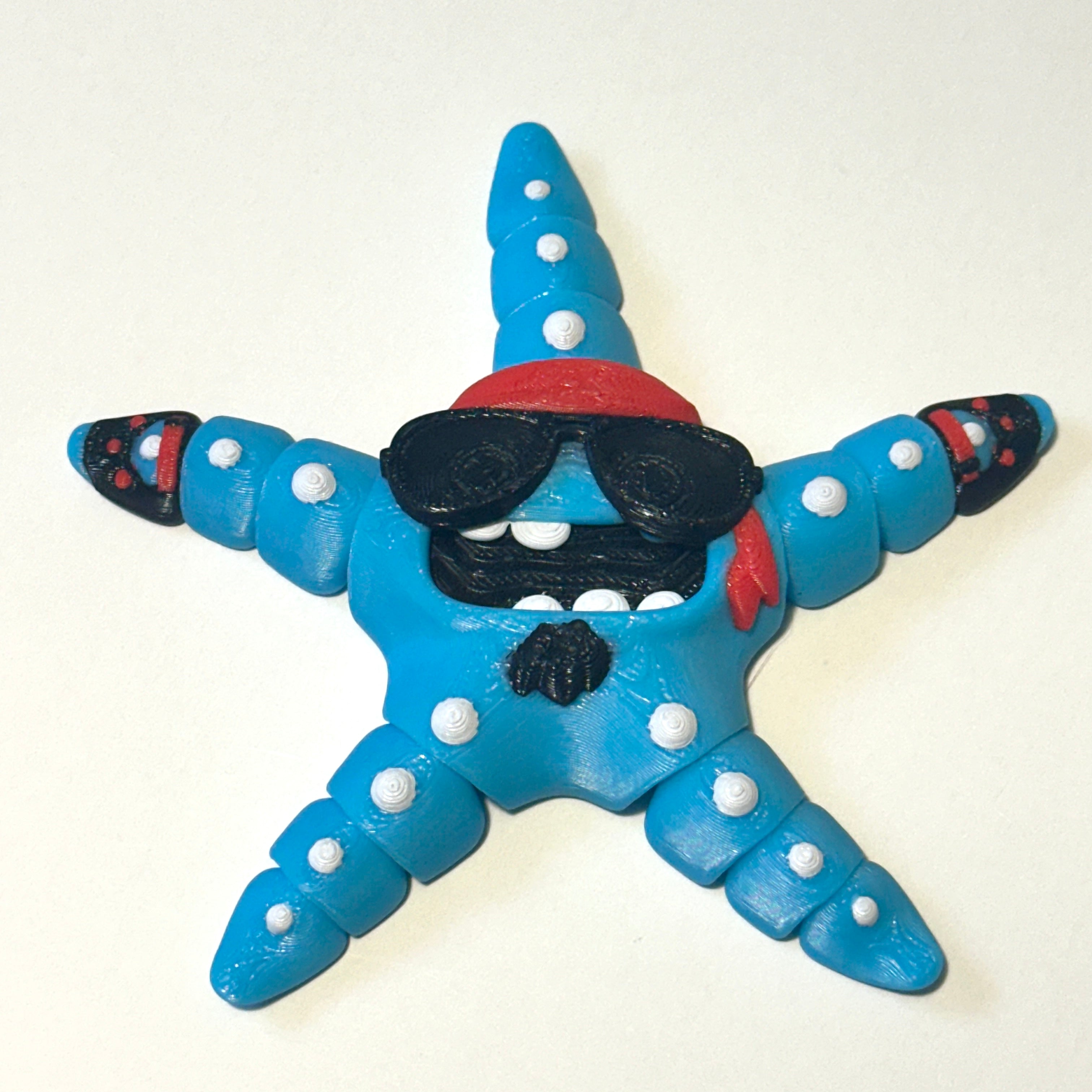 Biker Starfish - 3D Printed Articulating Figure – Northern Lines Design